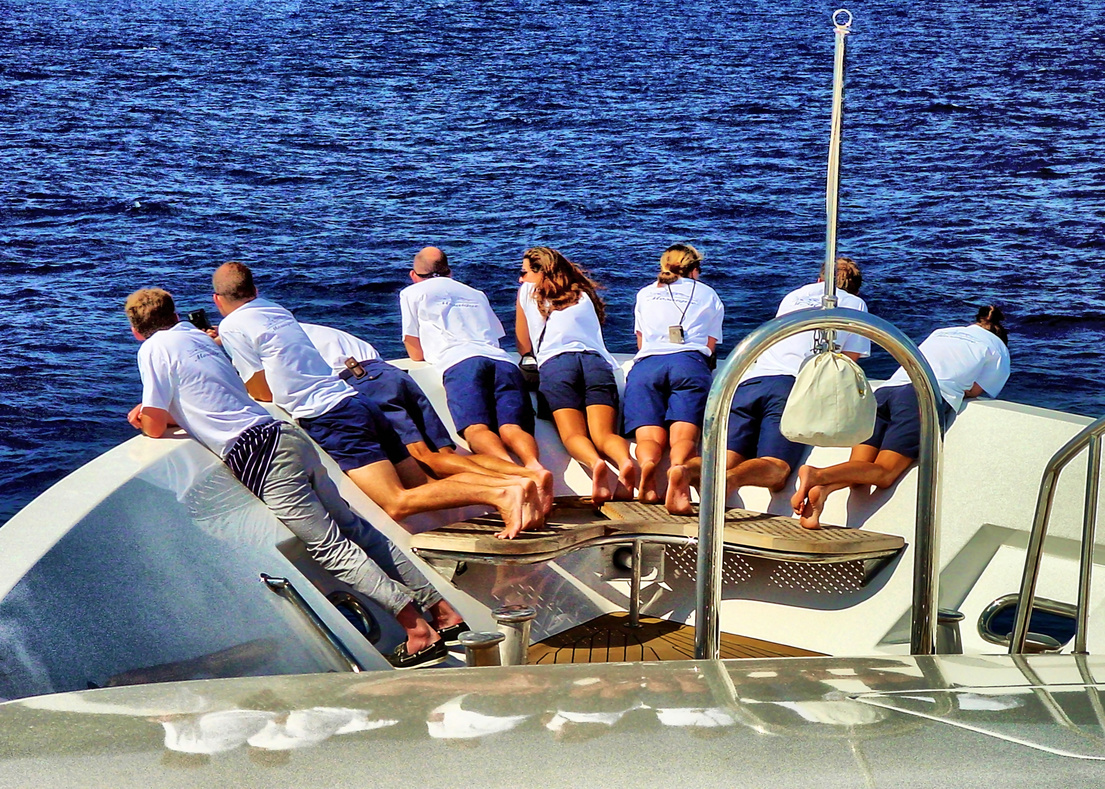 What is ‘green crew’ and why should I hire them - Insignia Crew Recruitment